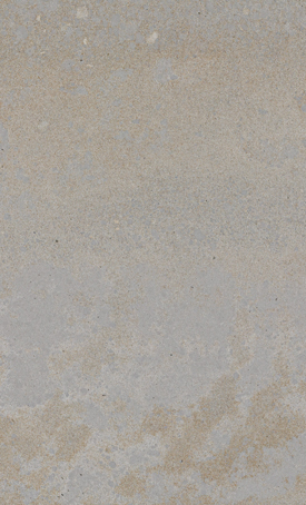 4043 Primordia: Gray Quartz Countertop | Caesarstone US